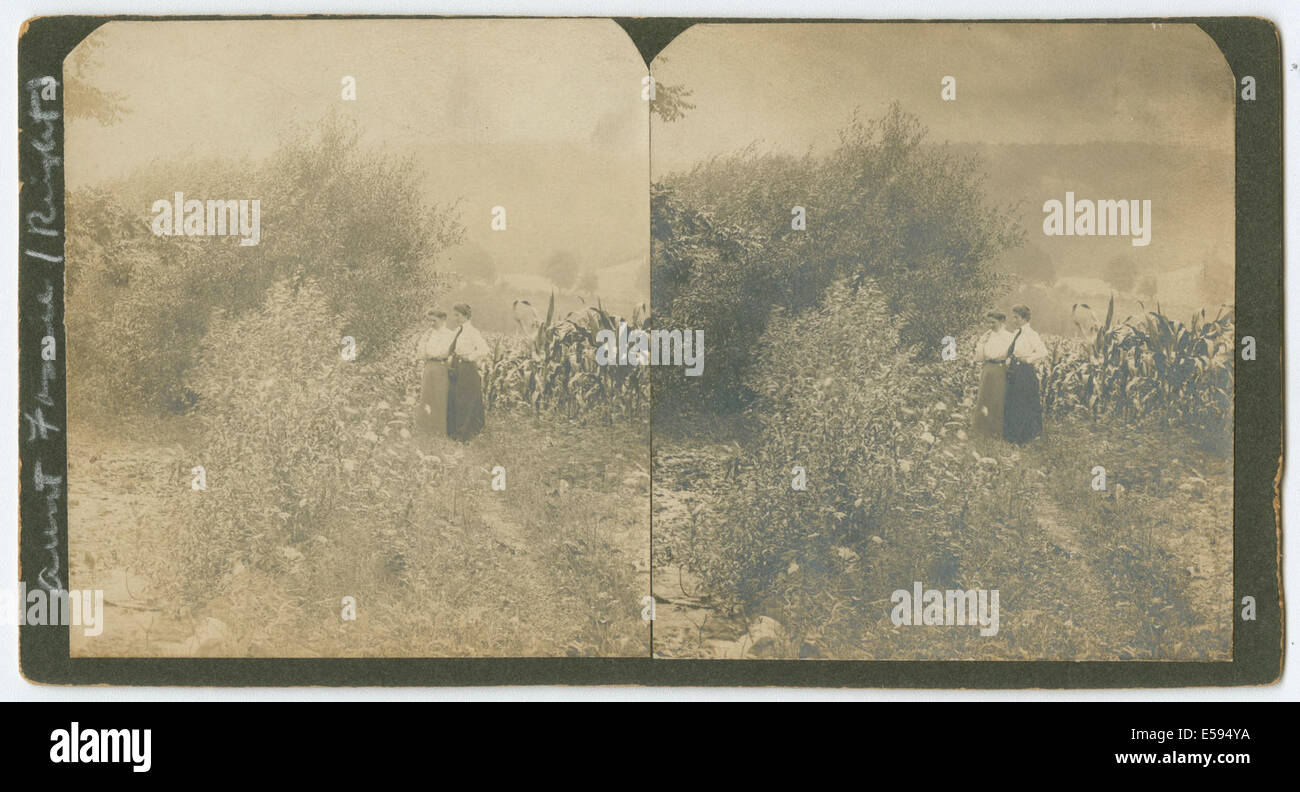 A stereograph featuring Aunt Fossie, shown in a portrait setting on the ...