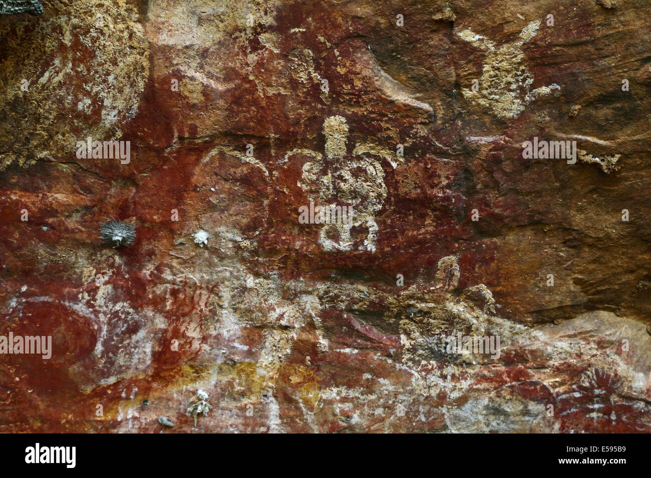 Indigenous art western australia hi-res stock photography and images ...