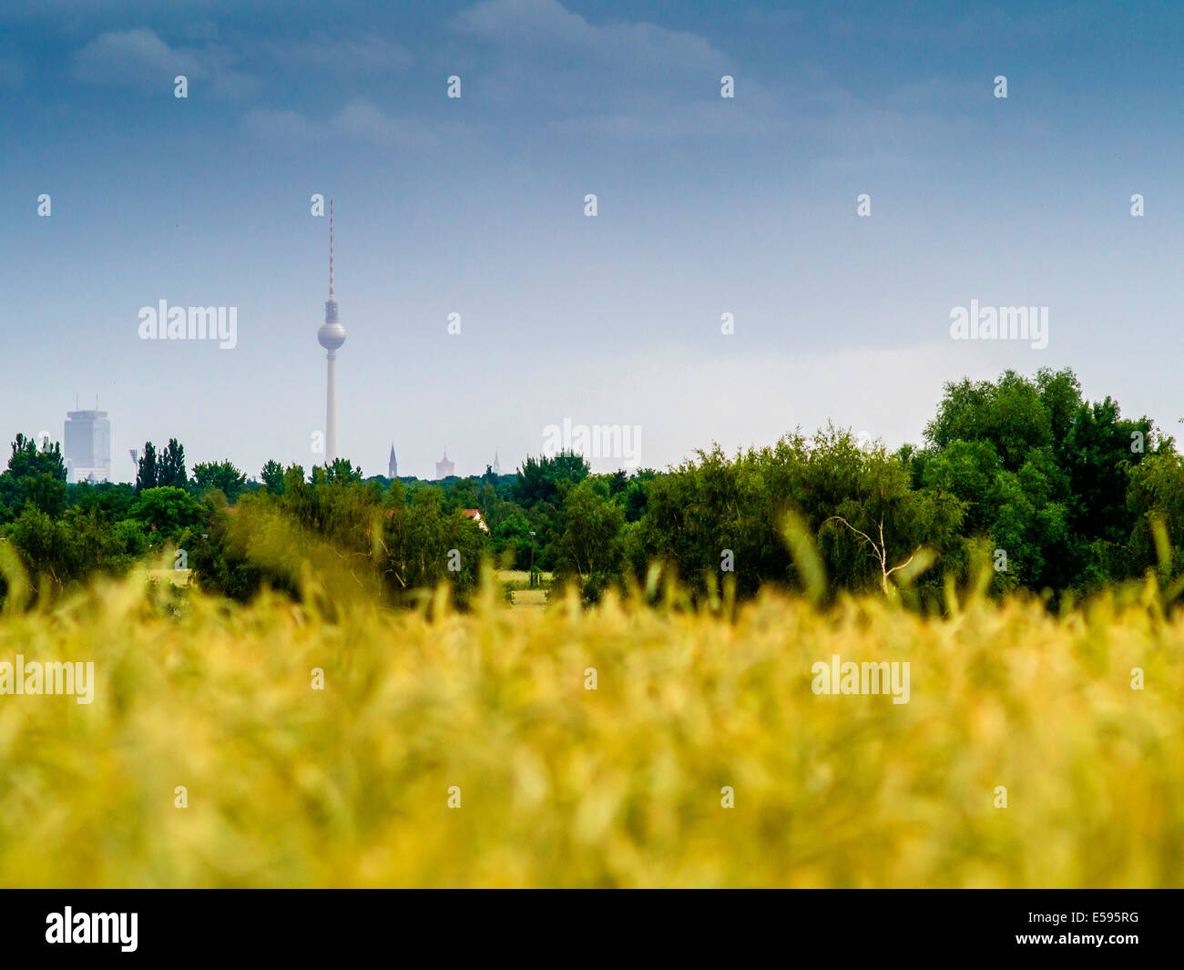 Germany, Berlin, Berlin-Blankenfelde, Luebars, Field, former death ...