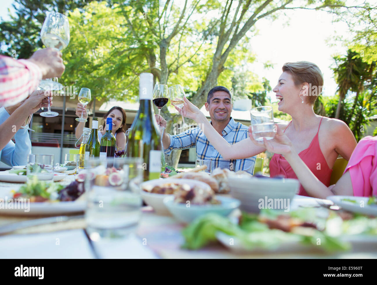 Group of women toasting hi-res stock photography and images - Alamy