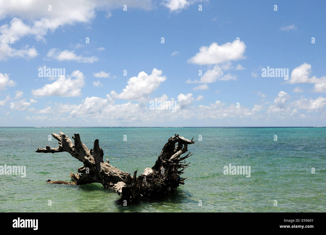 Travelling through Samoa in February 2014. Beach near Apia Stock Photo ...
