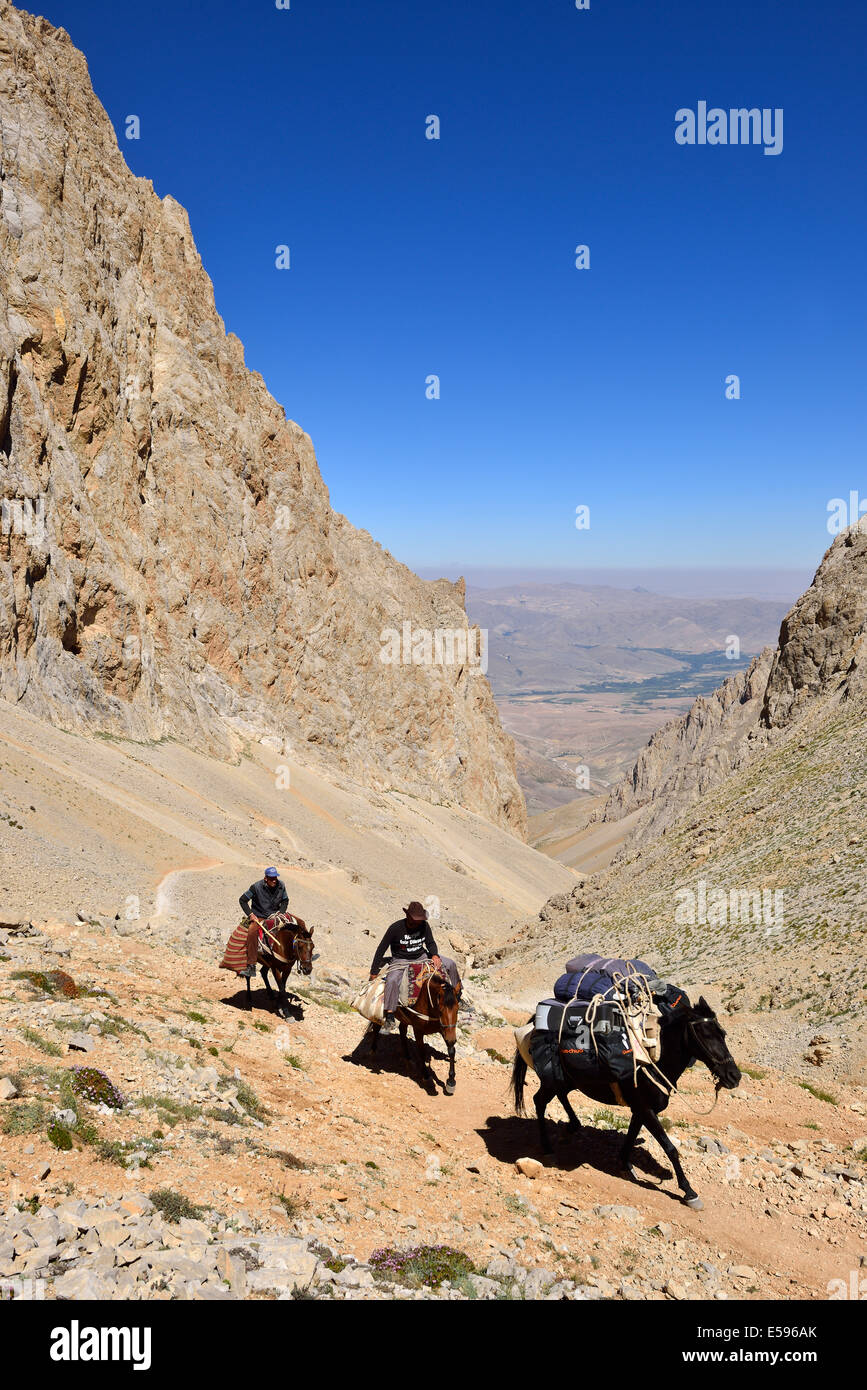 Turkey, Taurus Mountains, Aladaglar National Park, Packhorses carrying ...