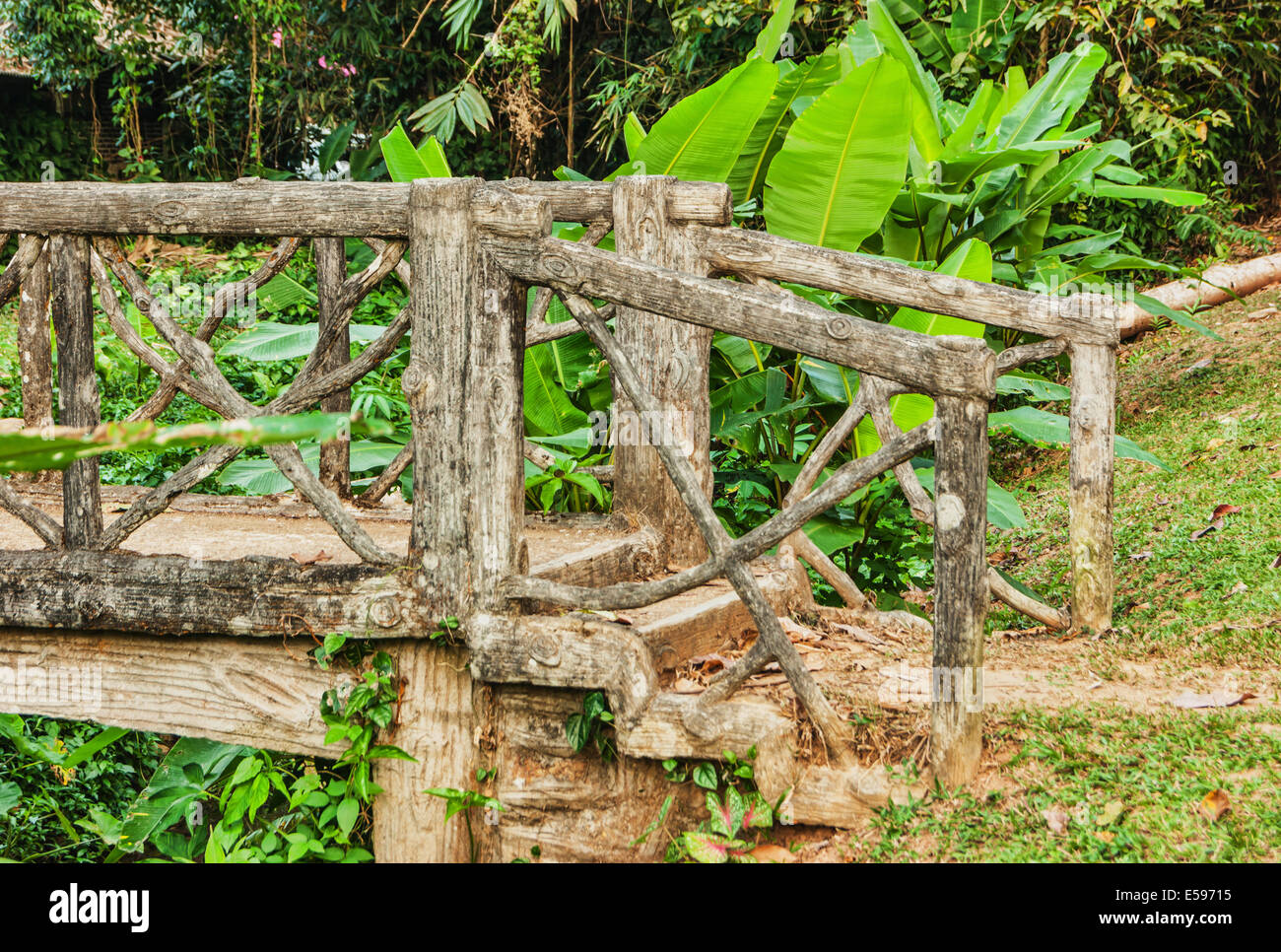 old wooden bridge in the forest Stock Photo - Alamy