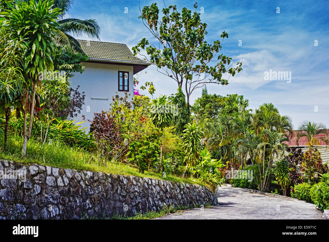 road between suburban houses Stock Photo - Alamy