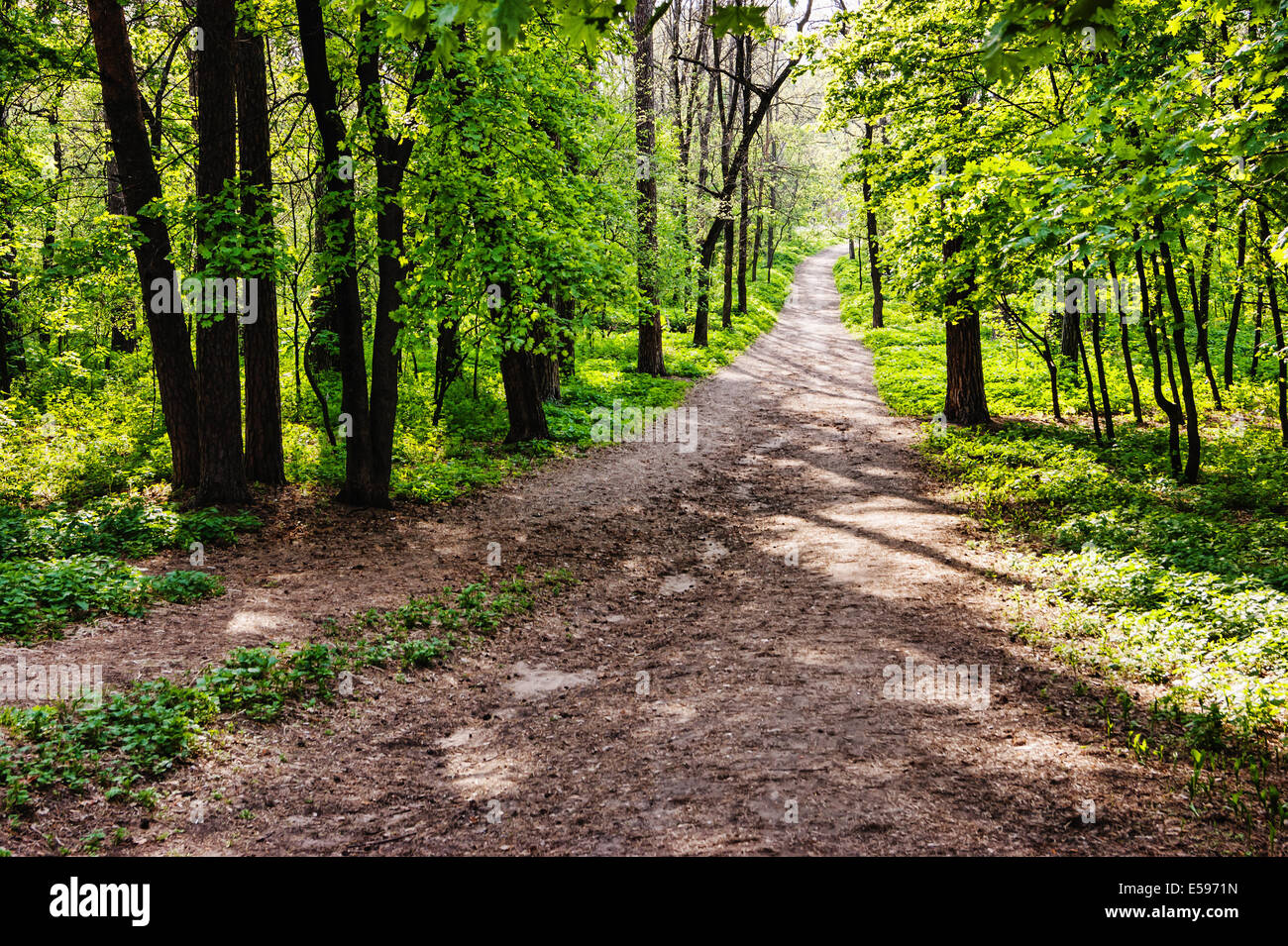 Deserted habitat hi-res stock photography and images - Alamy