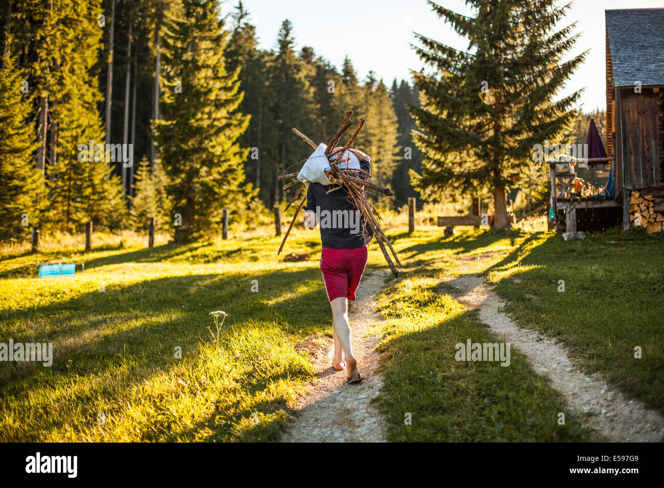 Austria, Gosau, man carrying sticks on rural path Stock Photo - Alamy