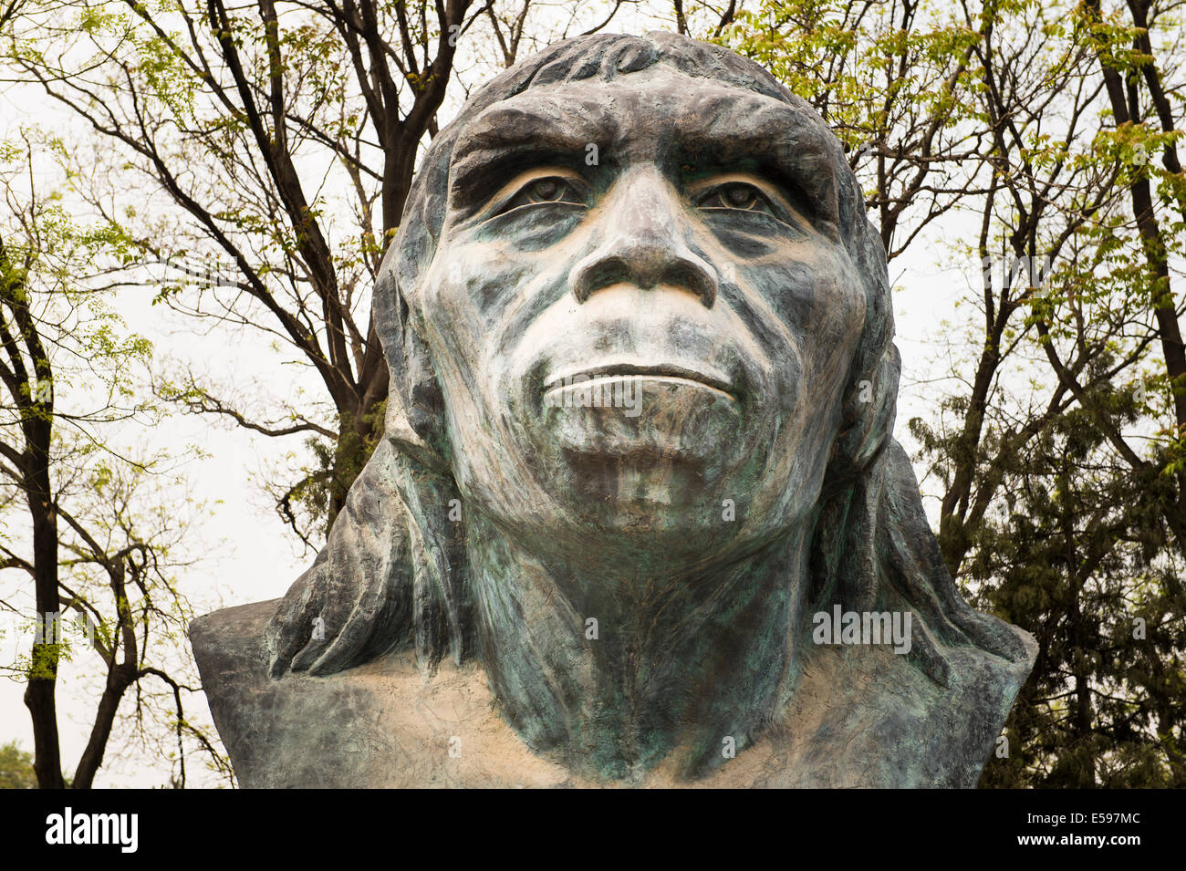 Sinanthropus pekinensis hi-res stock photography and images - Alamy