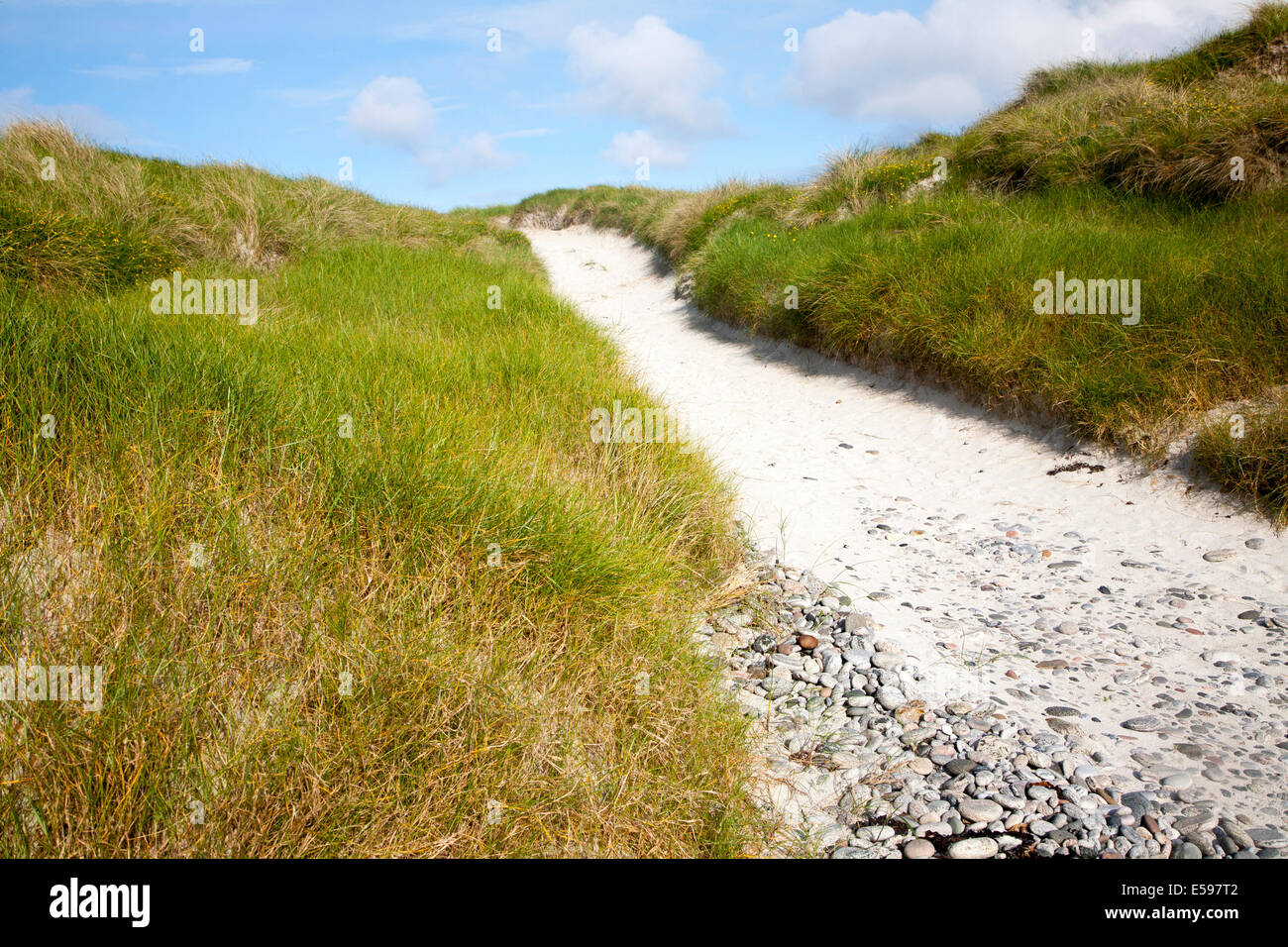 Sandy path through vegetated sand dunes on Vatersay, Barra, Outer ...