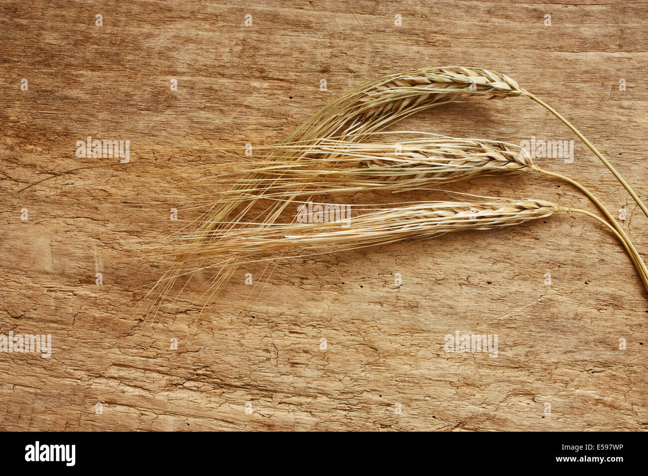 Dried wood ears hi-res stock photography and images - Alamy