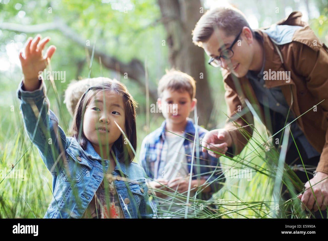 Students and teacher examining grass in forest Stock Photo - Alamy
