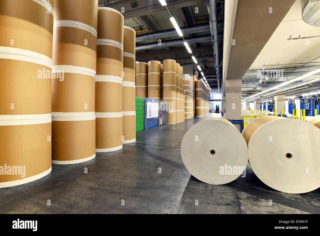 Storage of paper rolls in a printing shop Stock Photo - Alamy