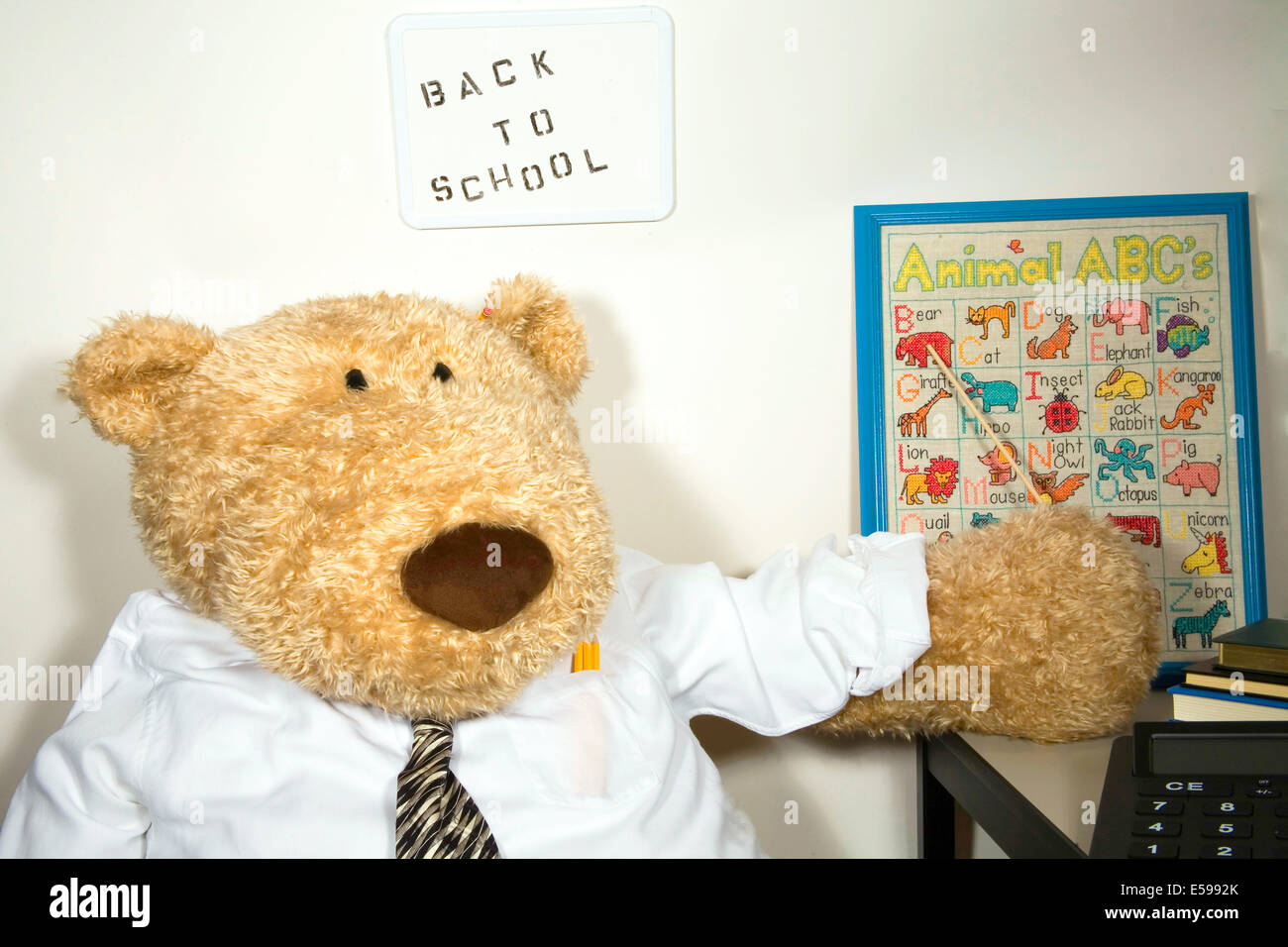 Oversized teddy bear dressed as an elementary teacher with teaching ...