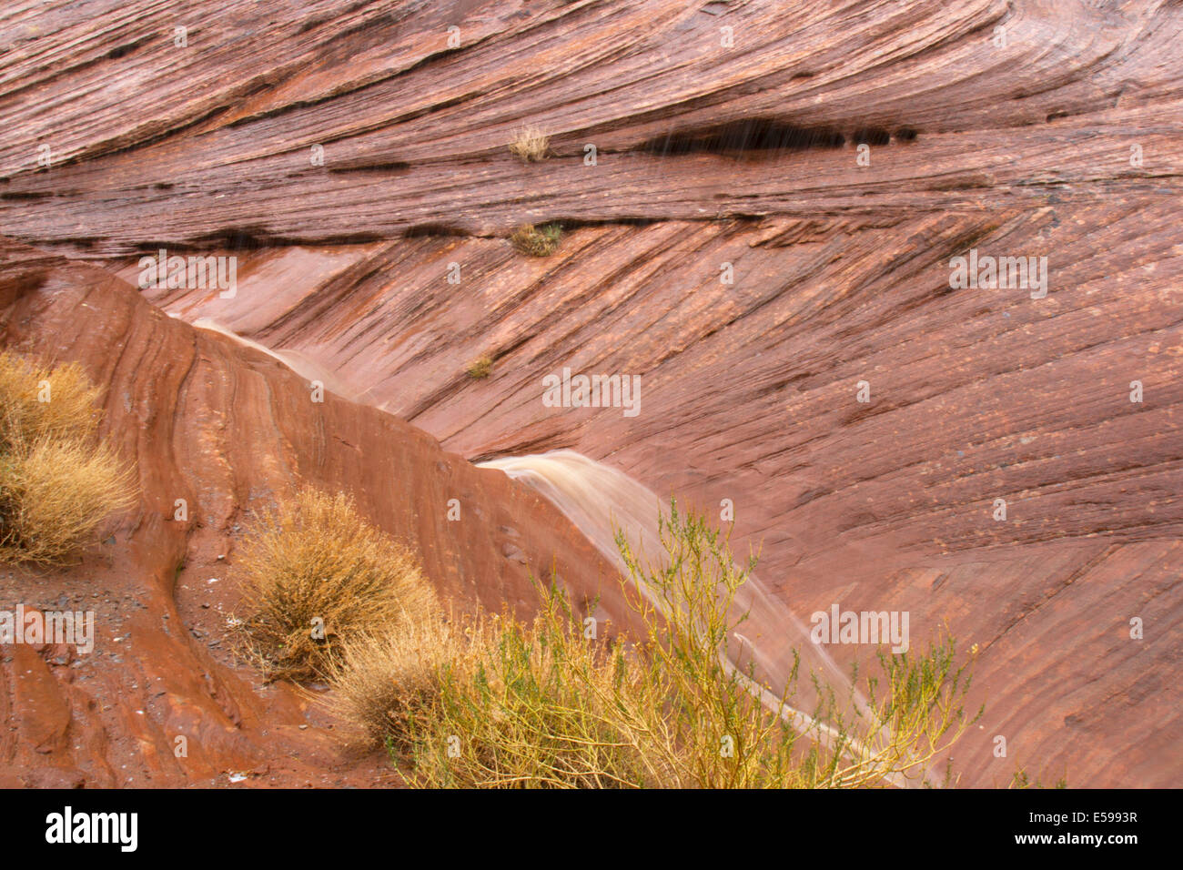 Water flowing from canyon wall slip-rock during a rainstorm ...
