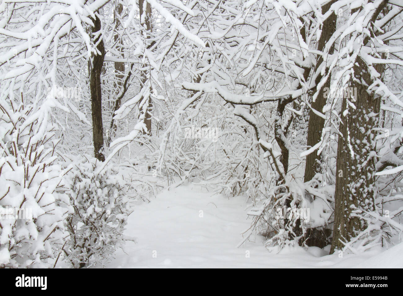 Wet and wintry hi-res stock photography and images - Alamy