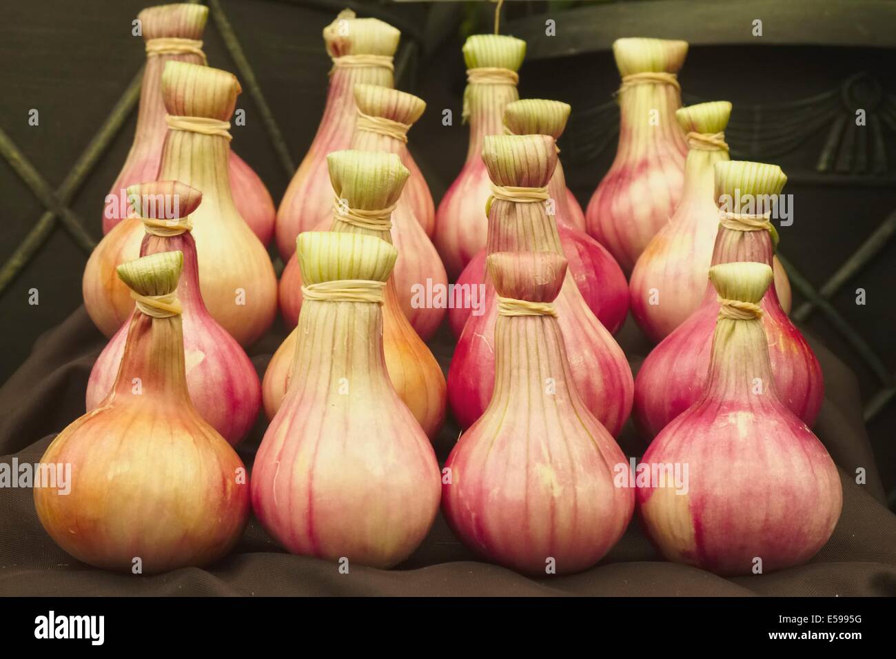 Scenes from member's Day at the Royal Horticultural Show in Cheshire ...