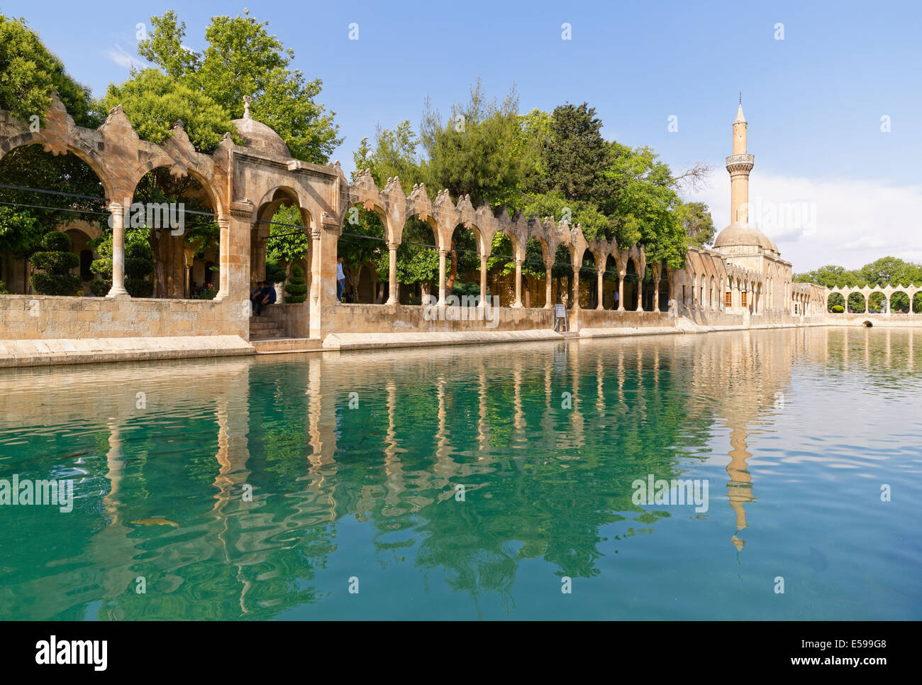 Turkey, Anatolia, Sanliurfa, Pool of Abraham with Rizvaniye Mosque in ...