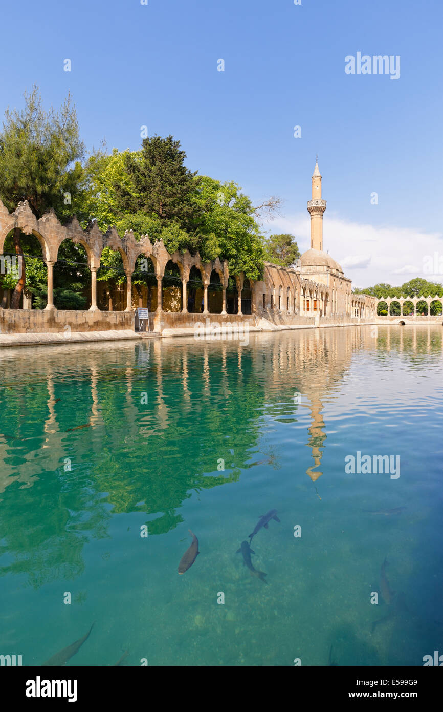 Abraham built hi-res stock photography and images - Alamy