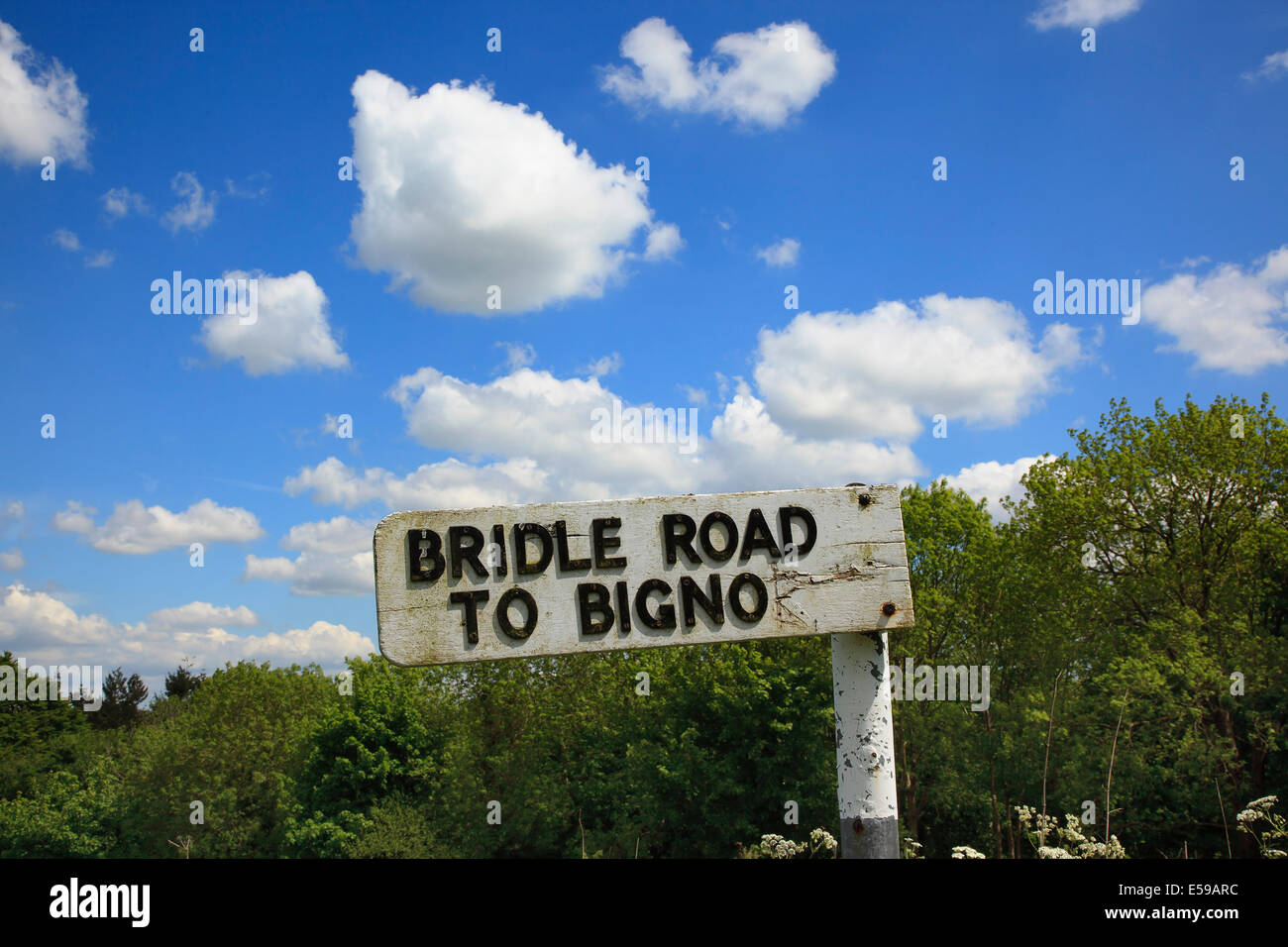 Bignor hill view hi-res stock photography and images - Alamy