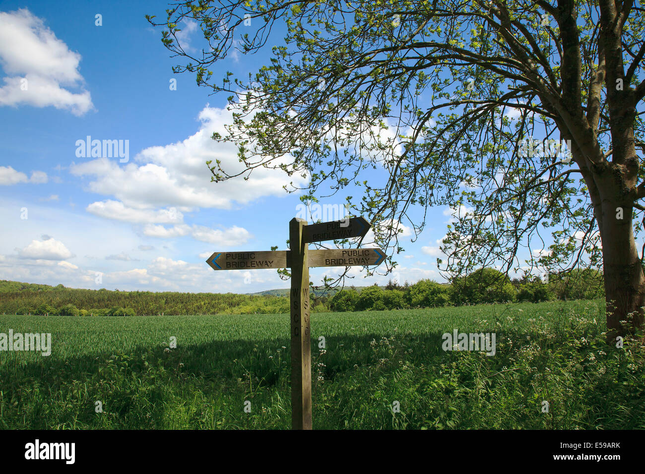 England, West Sussex, Slindon, View of the South Downs with wooden sign ...