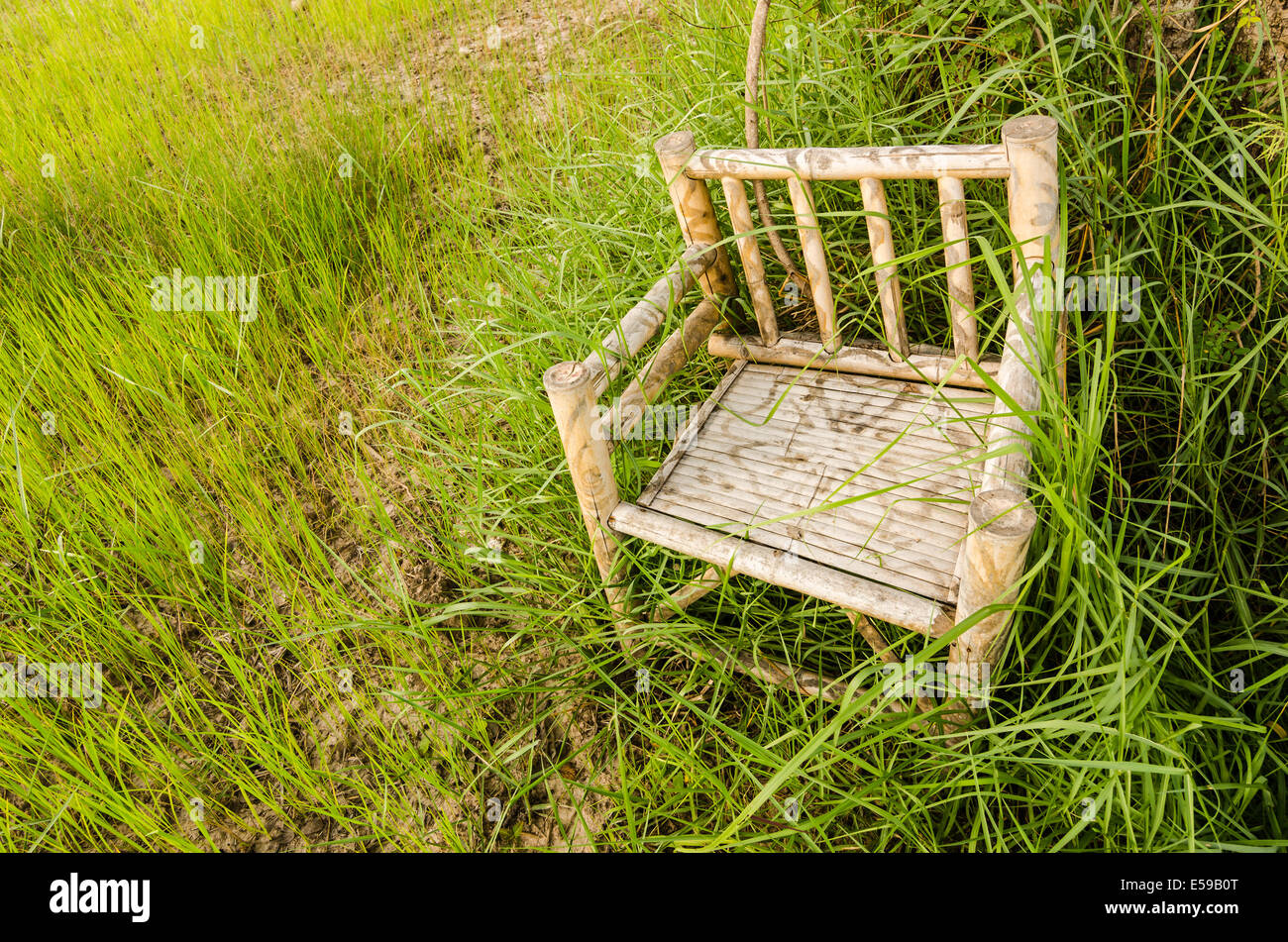 Bamboo wooden chairs on grass field in countryside Thailand Stock Photo ...
