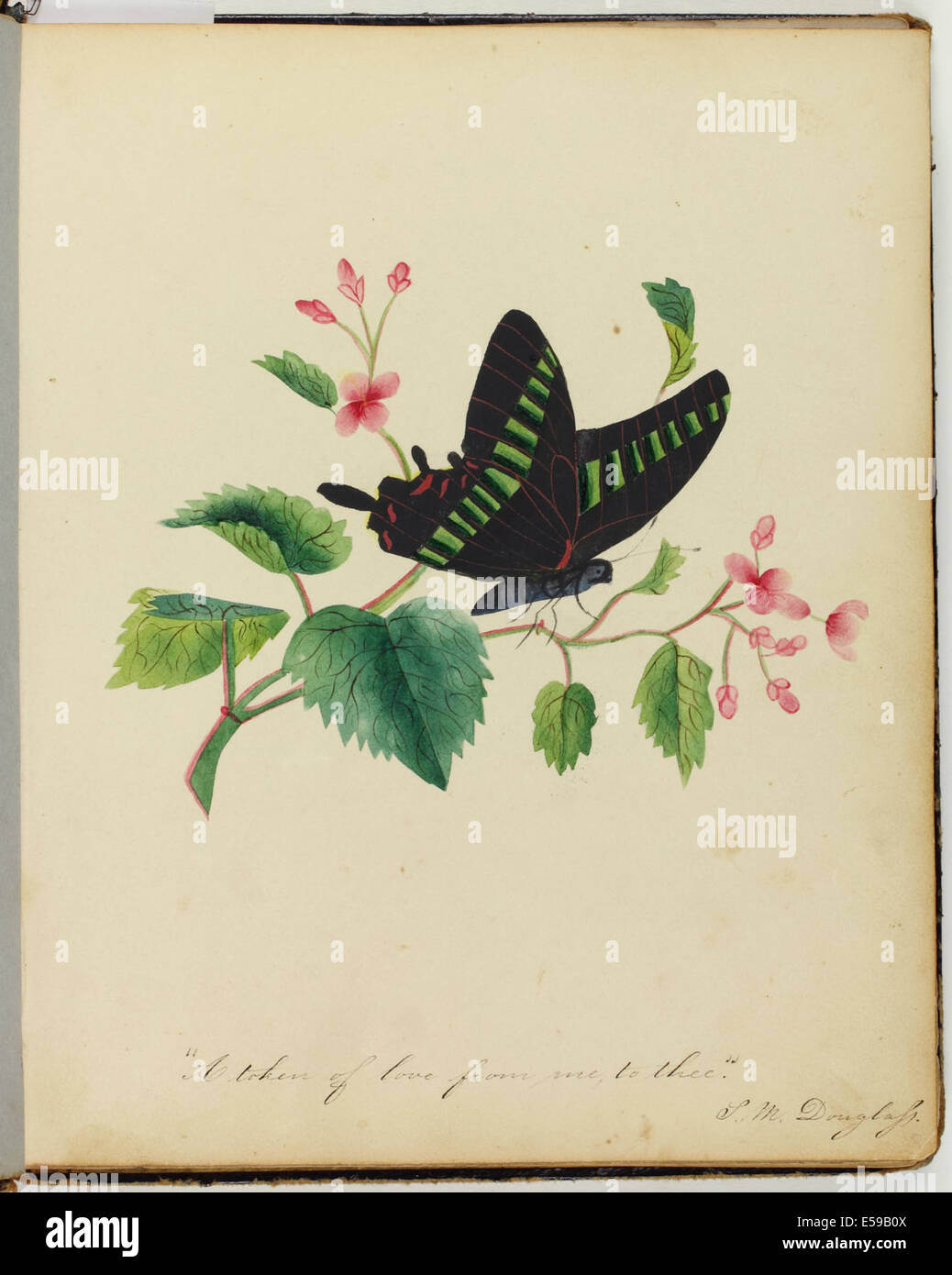 Quaker symbolism hi-res stock photography and images - Alamy