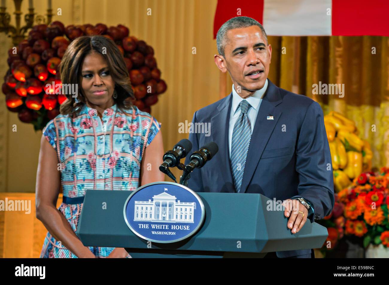 Michelle Obama Before Presidency