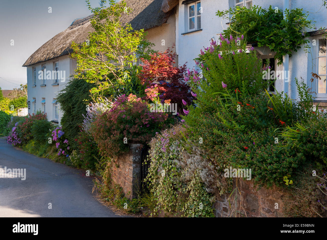 Thatched cottages in the Devon village of Witheridge, UK Stock Photo ...