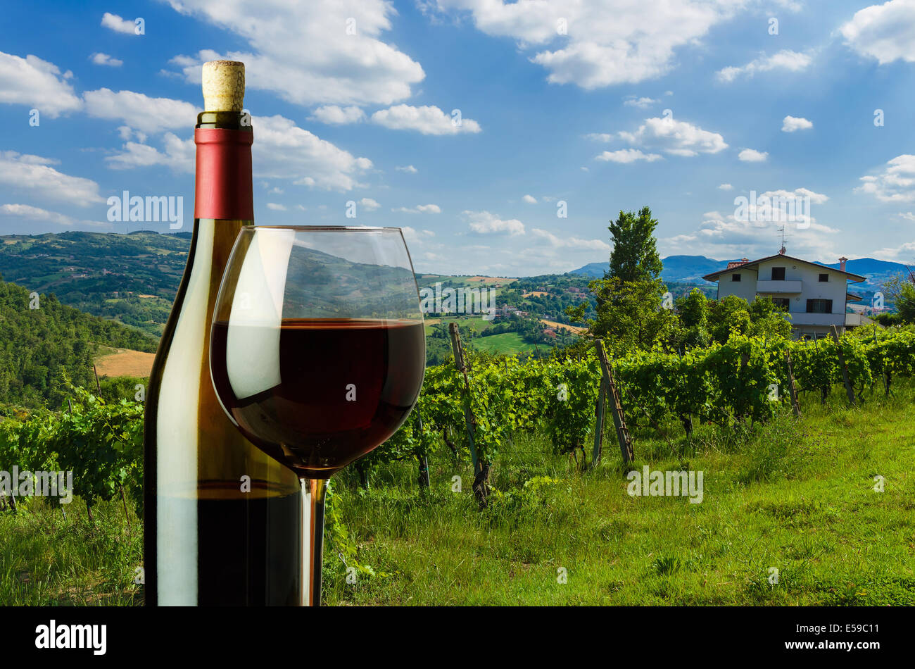 Italy Vineyard Wallpaper