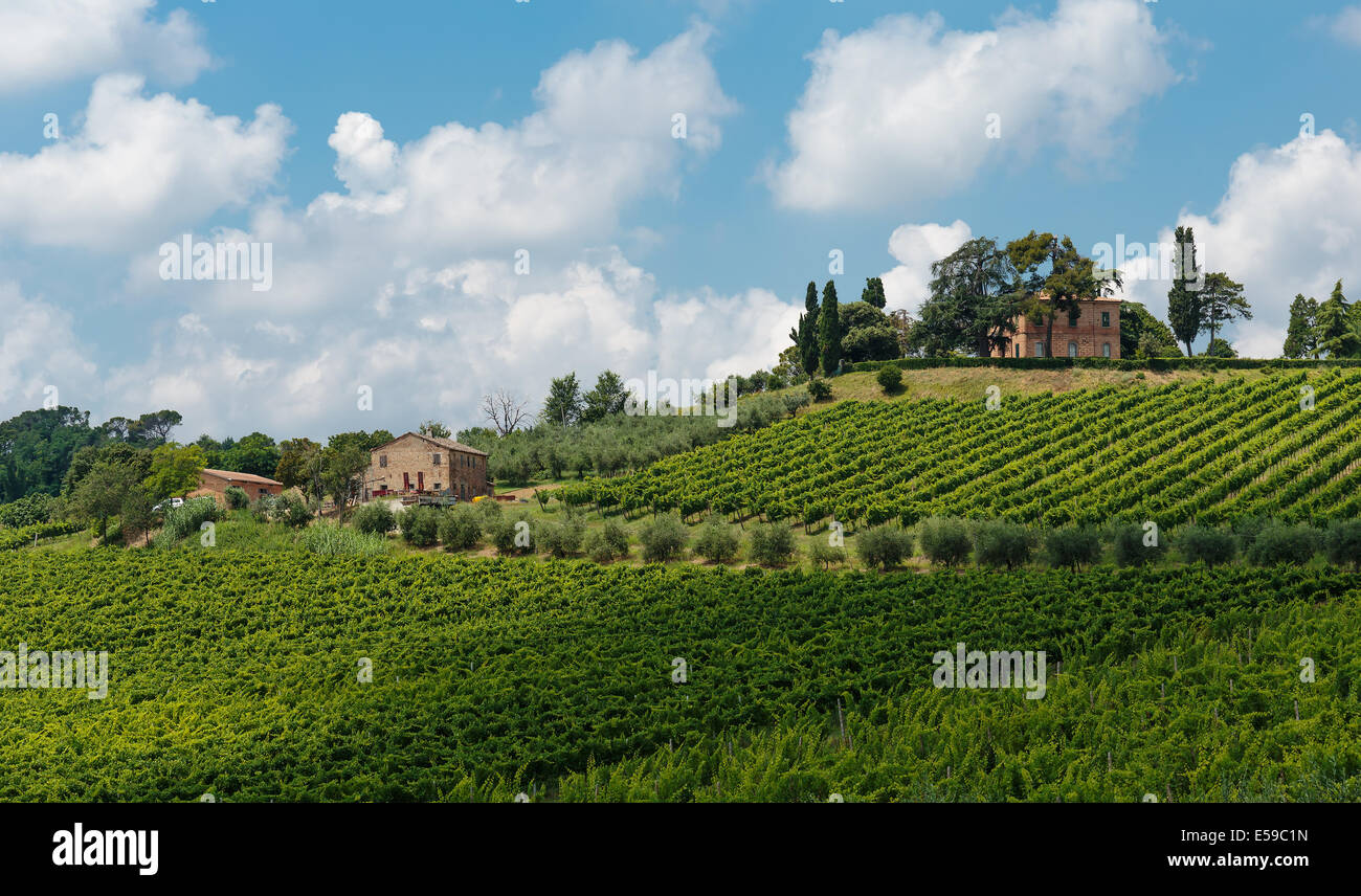 Typical italian country scene hi-res stock photography and images - Alamy