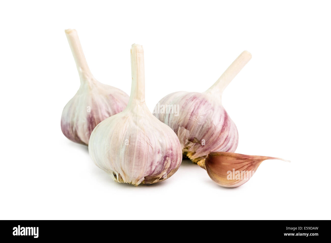 Light bulb garlic close Cut Out Stock Images & Pictures - Alamy