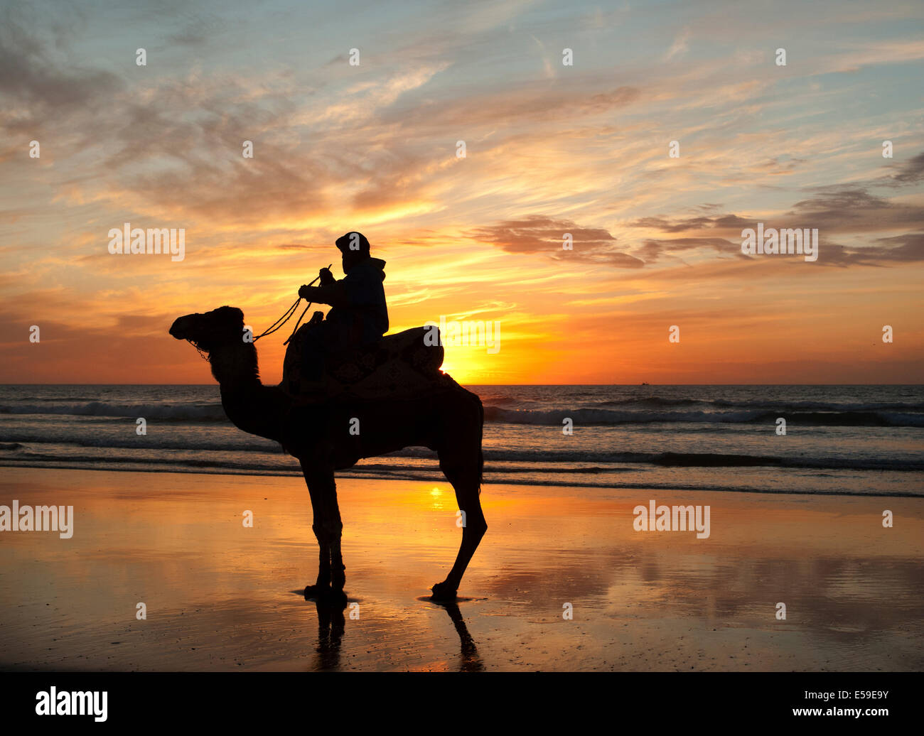 Camel with rider hi-res stock photography and images - Alamy