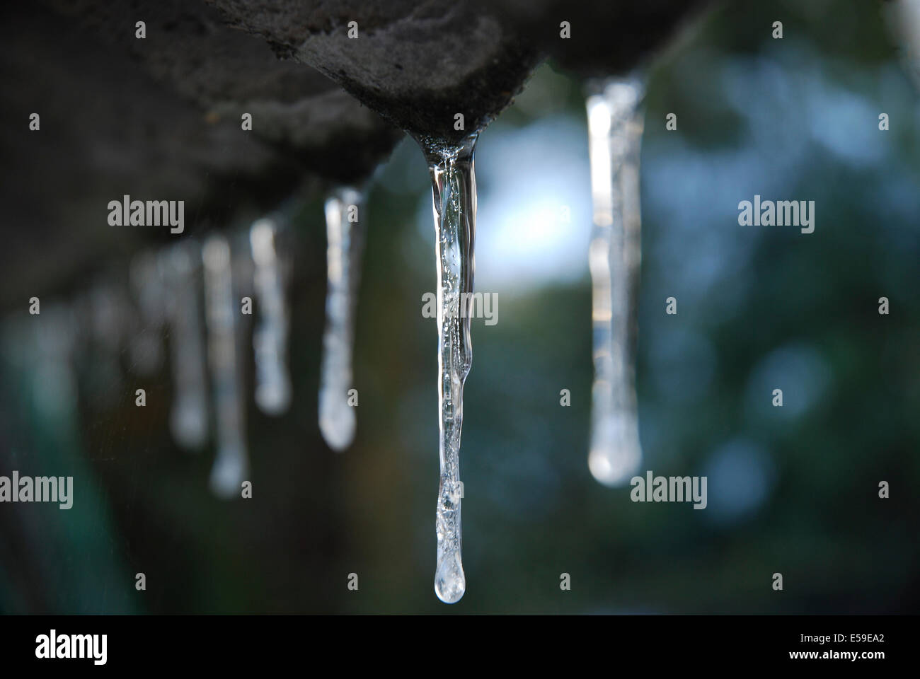 Frozen icicles on a roof edge - winter in the UK Stock Photo - Alamy