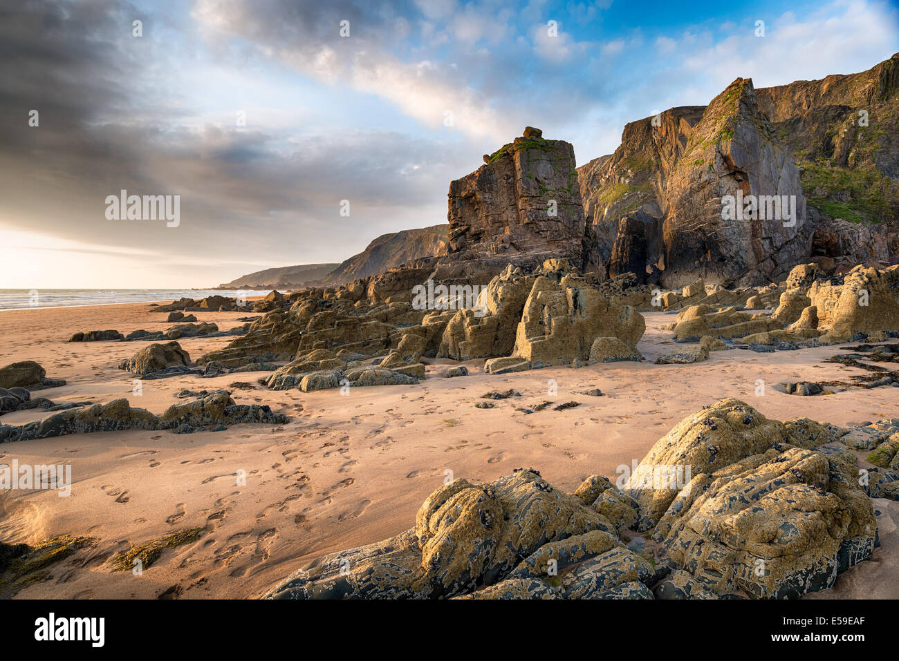 Weathered cliffs and barnacle encrusted rocks at Sandymouth Beach near ...