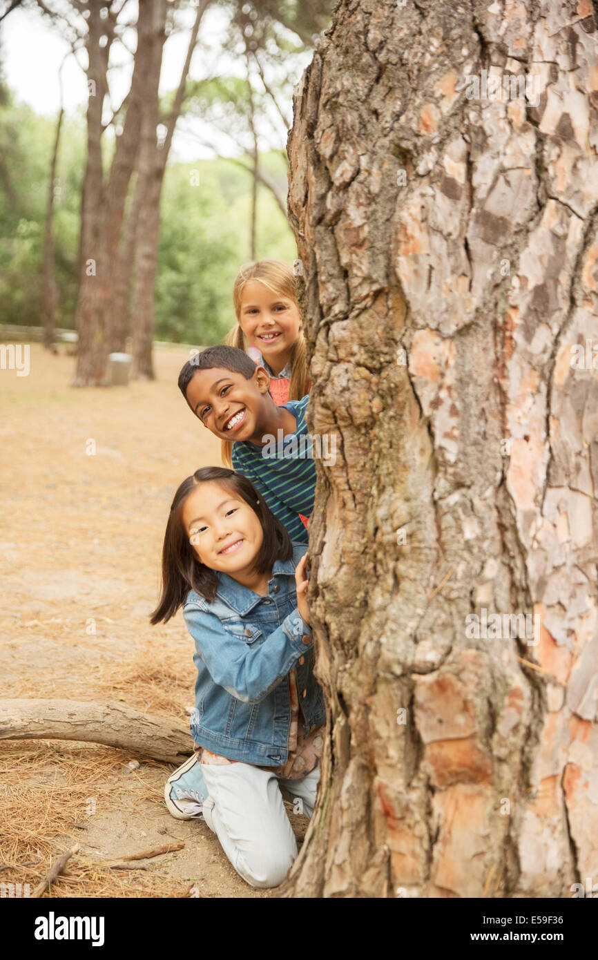 Children peeking out from behind tree in forest Stock Photo - Alamy