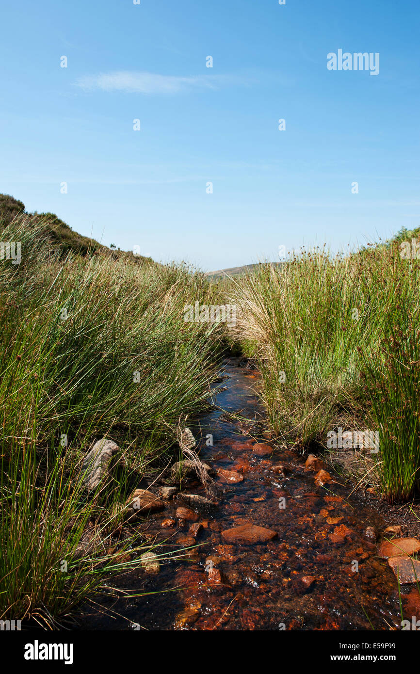 Hillside Stream in the Peak District Stock Photo - Alamy