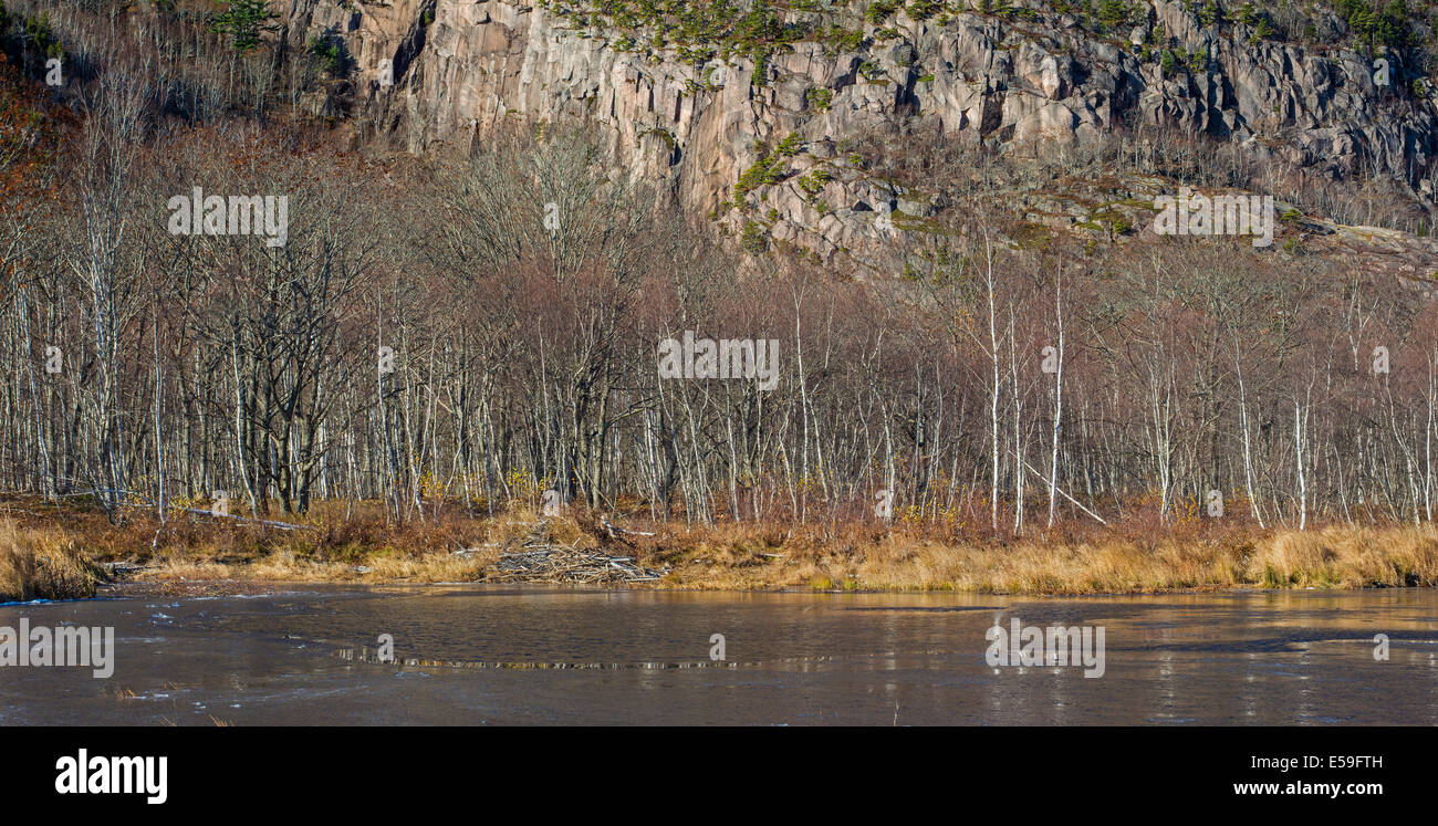 Acadia National Park, Maine, USA. Beaver Pond Stock Photo - Alamy