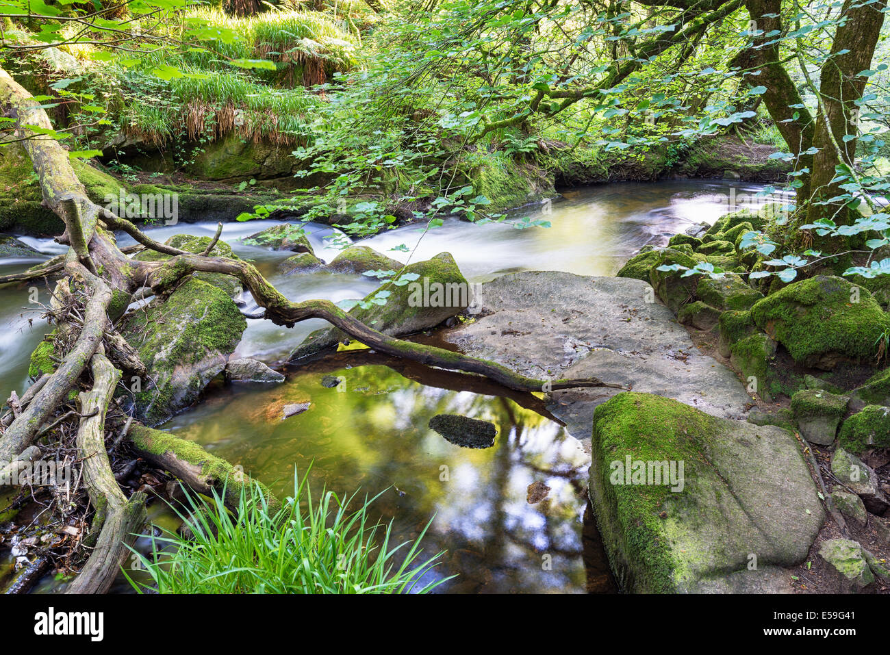 The river Fowey in Cornwall as it flows through Golitha Falls on the ...