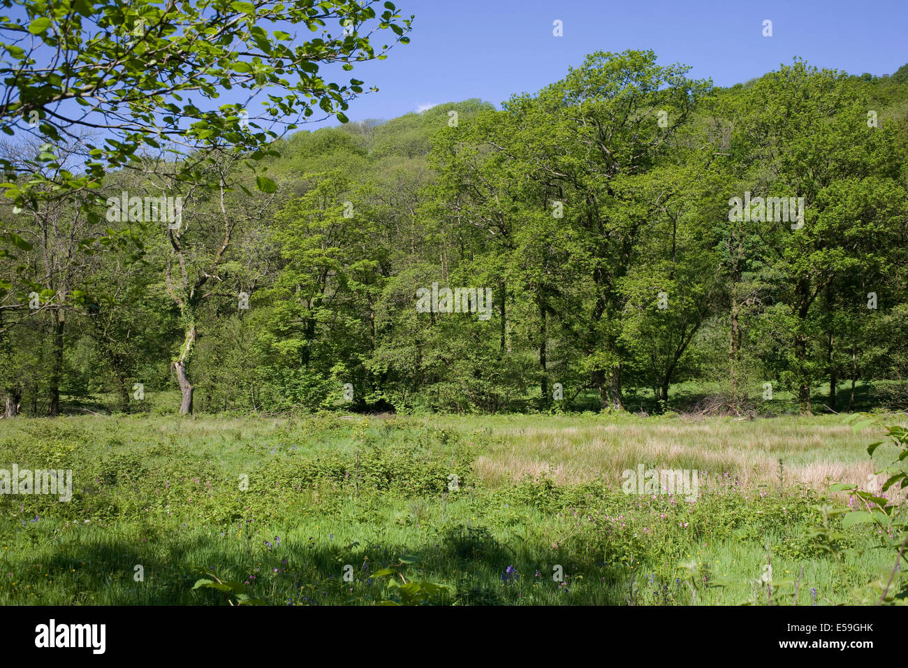 Garw valley hi-res stock photography and images - Alamy