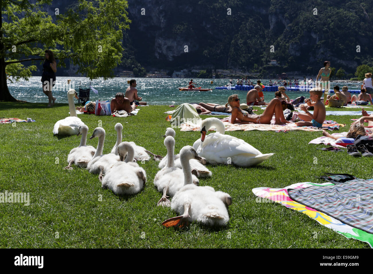 Europe tourism sunbathing hi-res stock photography and images - Alamy