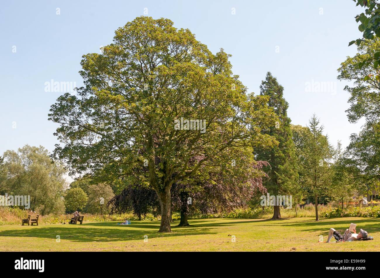 High Green, Gargrave, North Yorkshire Stock Photo - Alamy