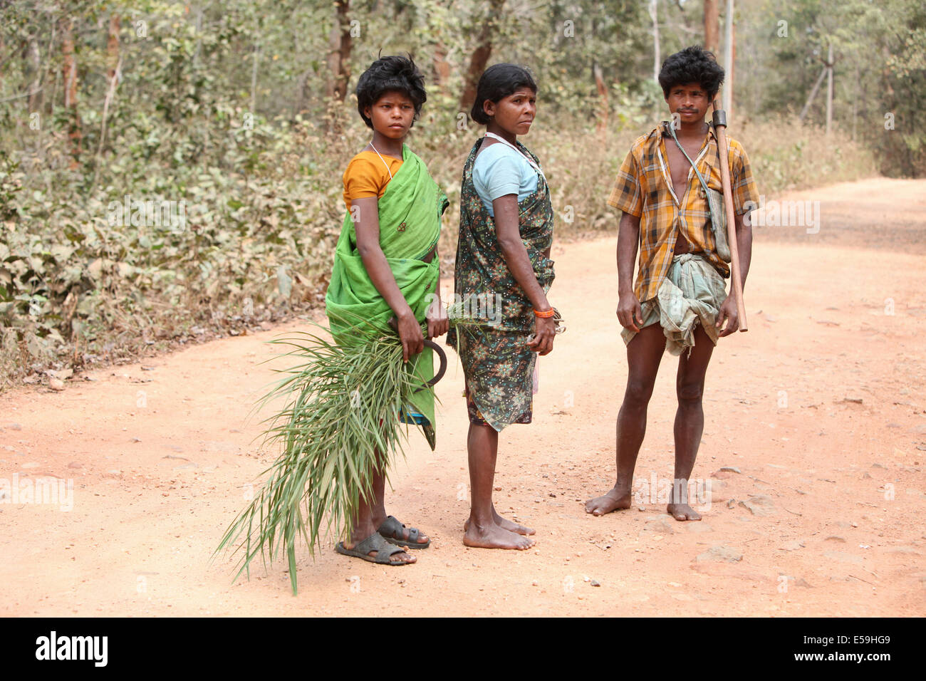 Tribal family abhuj maria tribe hi-res stock photography and images - Alamy