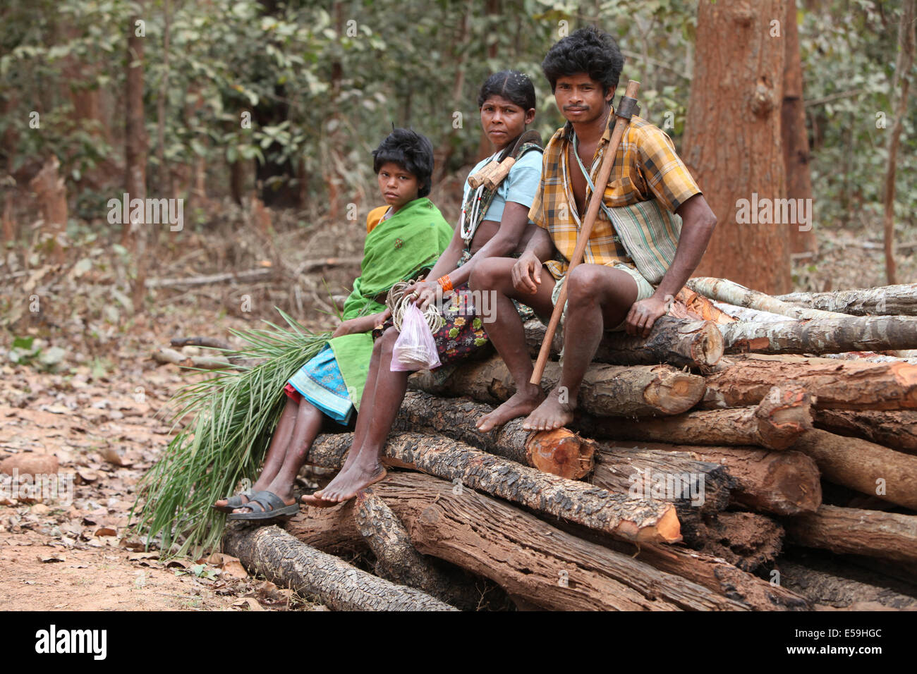 Abhuj Maria Tribal Family sitting on wood logs in Rainpul forest ...