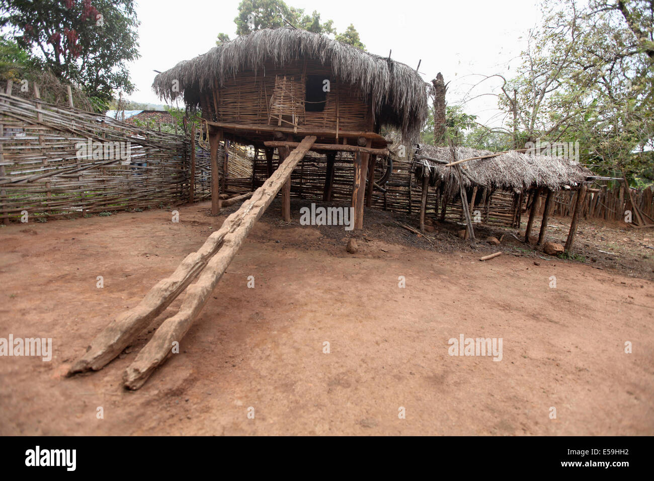 Traditional goat house, Abhuj Maria tribe, Orccha, Chattisgadh, India ...