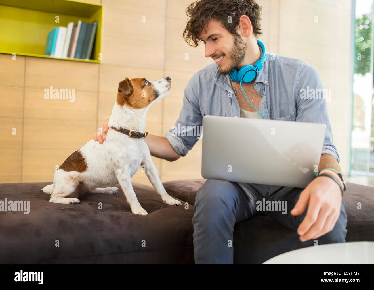 Man petting dog in office Stock Photo - Alamy