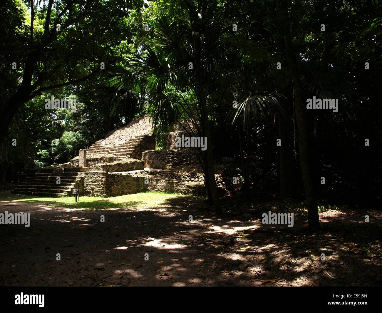 The Stela Temple in the rainforest of Belize Stock Photo - Alamy