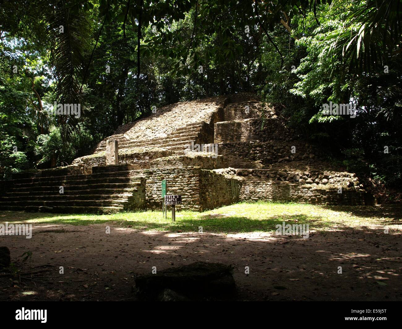 The Stela Temple at Lamanai in Belize Stock Photo - Alamy