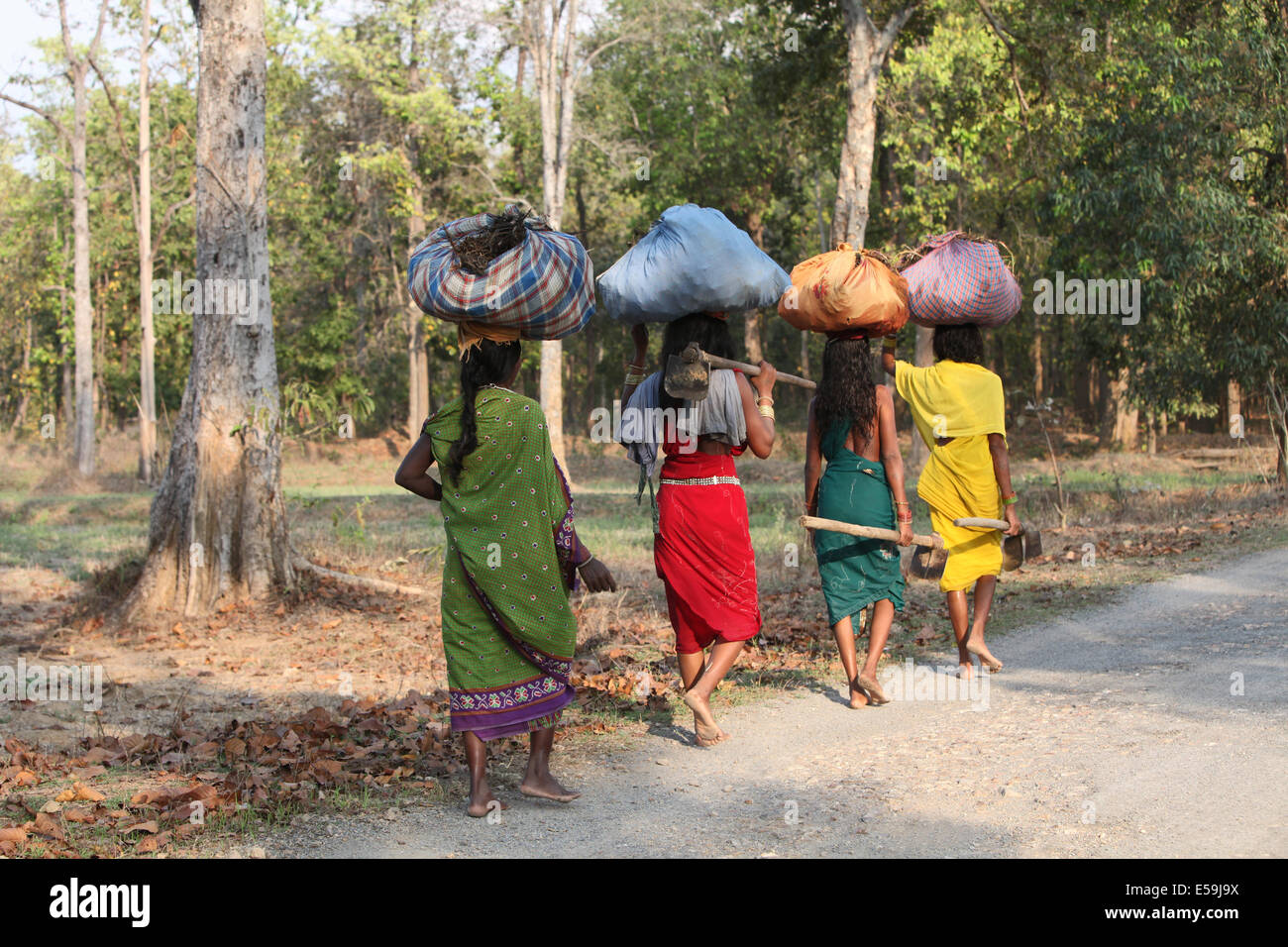 Tribal people carry hi-res stock photography and images - Alamy