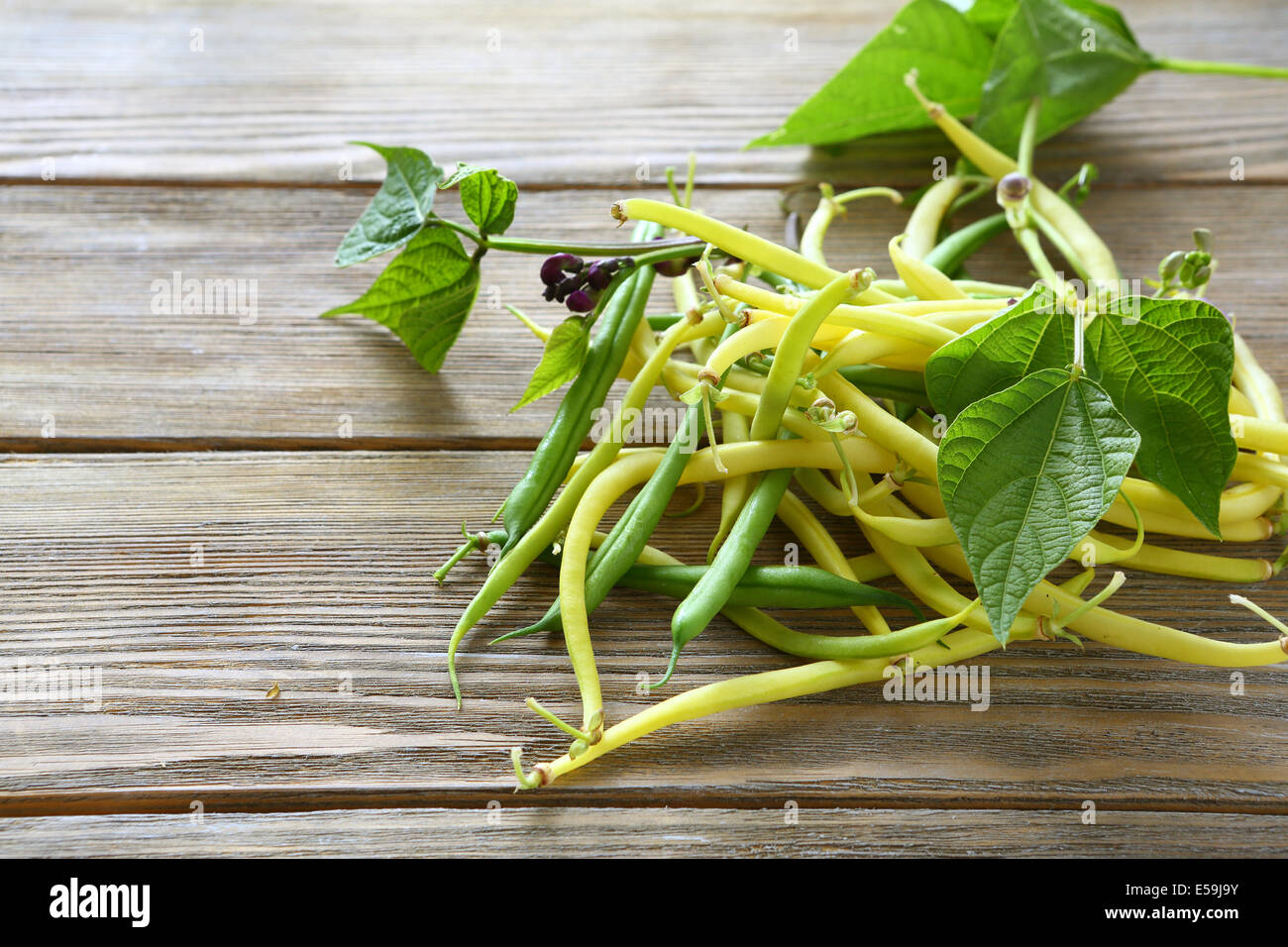Bunch of green beans hi-res stock photography and images - Alamy