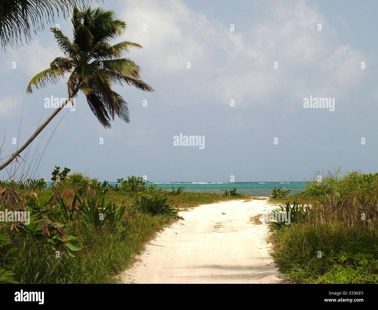 Path to the beach on Ambergris Caye, Belize Stock Photo - Alamy