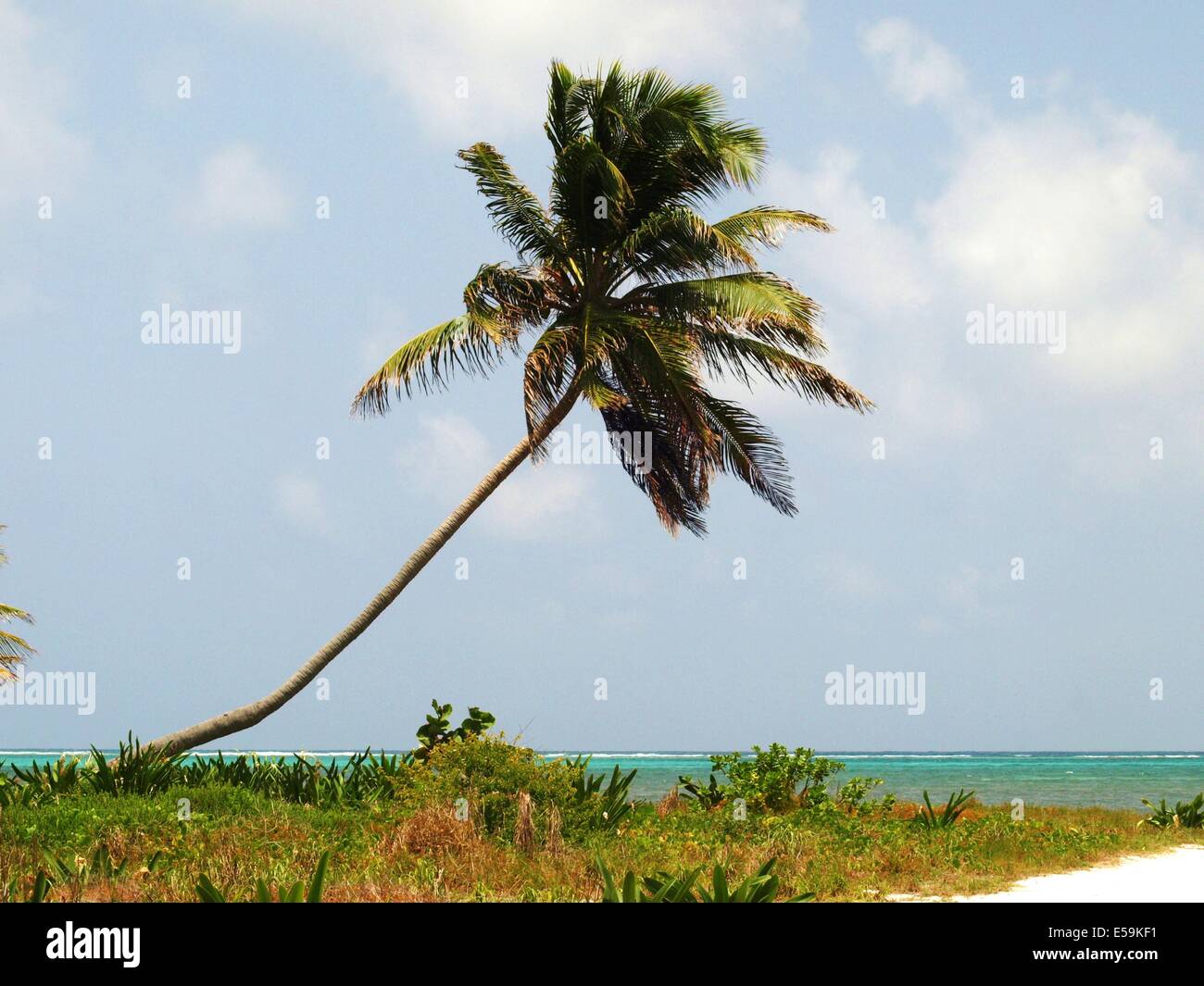 Ocean view from the beach on Ambergris Caye, Belize Stock Photo - Alamy